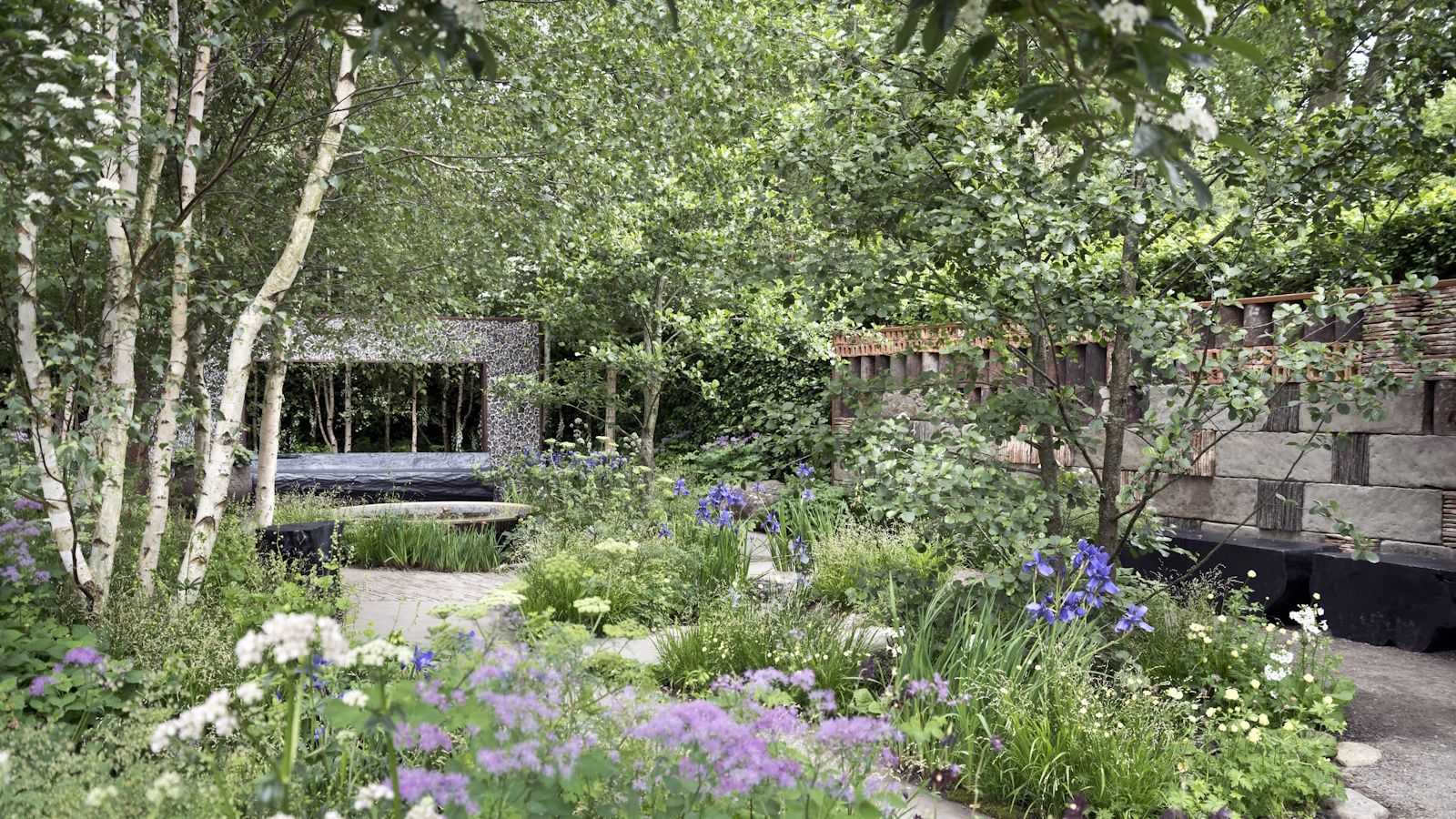 Plants you should never let grow too tall to avoid HOA…