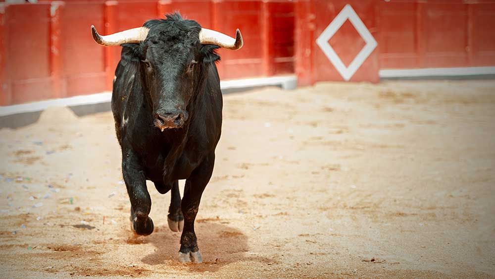 Stock Market Today: Dow Jones, S&P 500 Edge Lower; An…