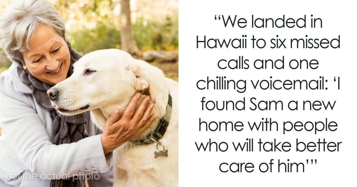 Vacation Turns To Nightmare When MIL Rehomes Couple’s…