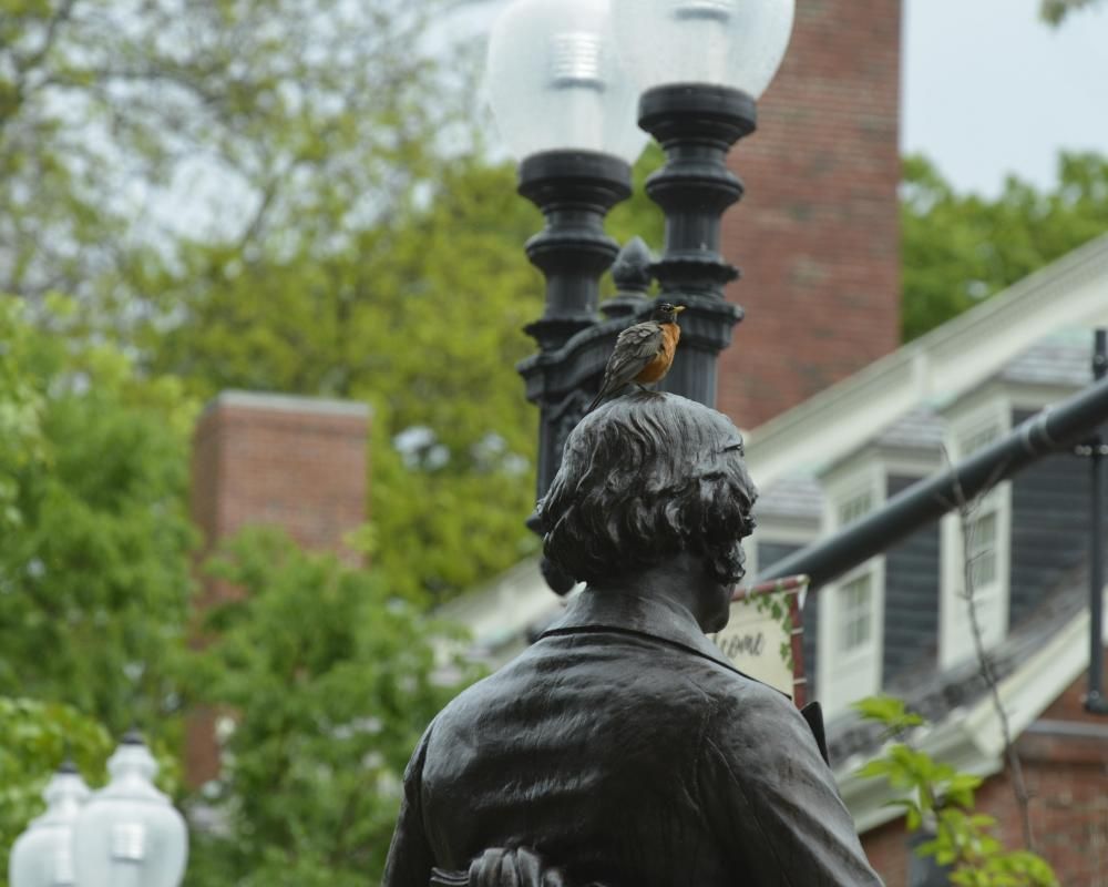 Trump’s revenge spree on Harvard echoes well beyond…