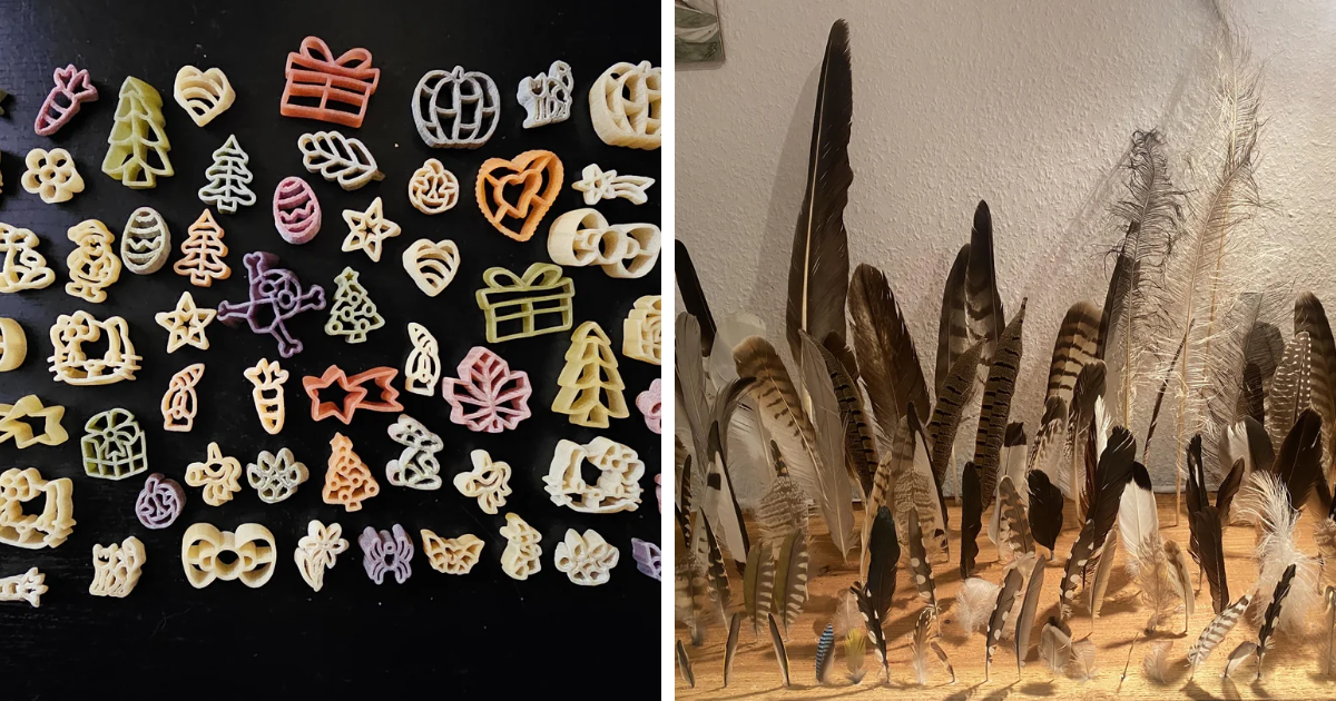 66 Of The Most Interesting And Unusual Collections…