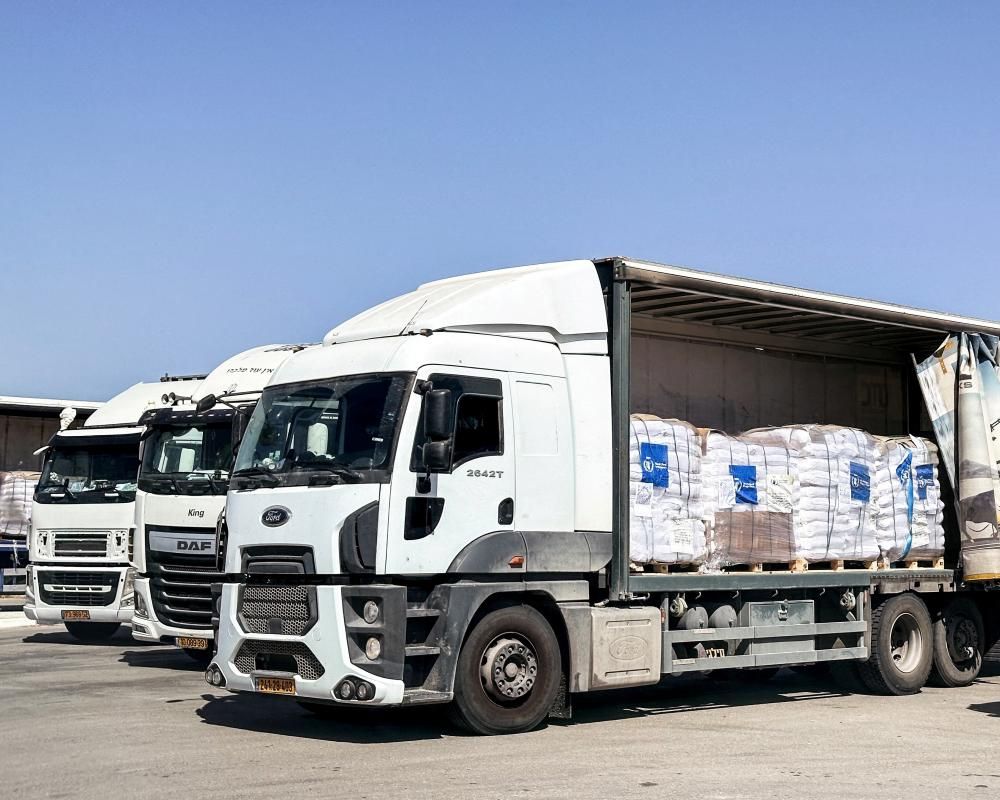 Israeli-backed logistics group says Gaza operations…