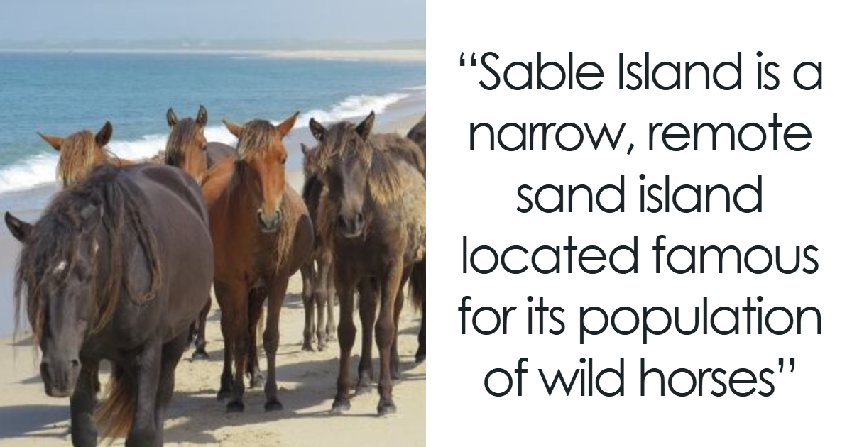 50 Interesting Facts About The Unusual, Wonderful Or…