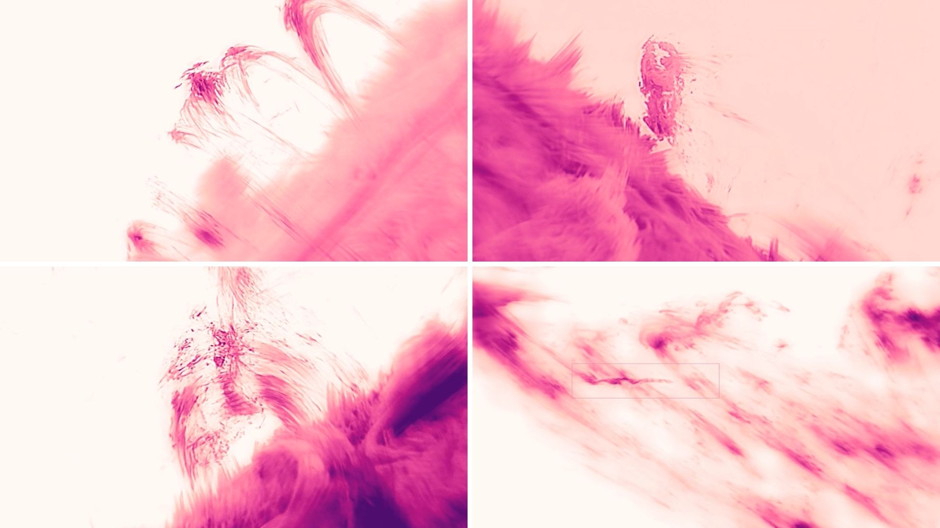 Scientists capture never-before-seen plasma streams…