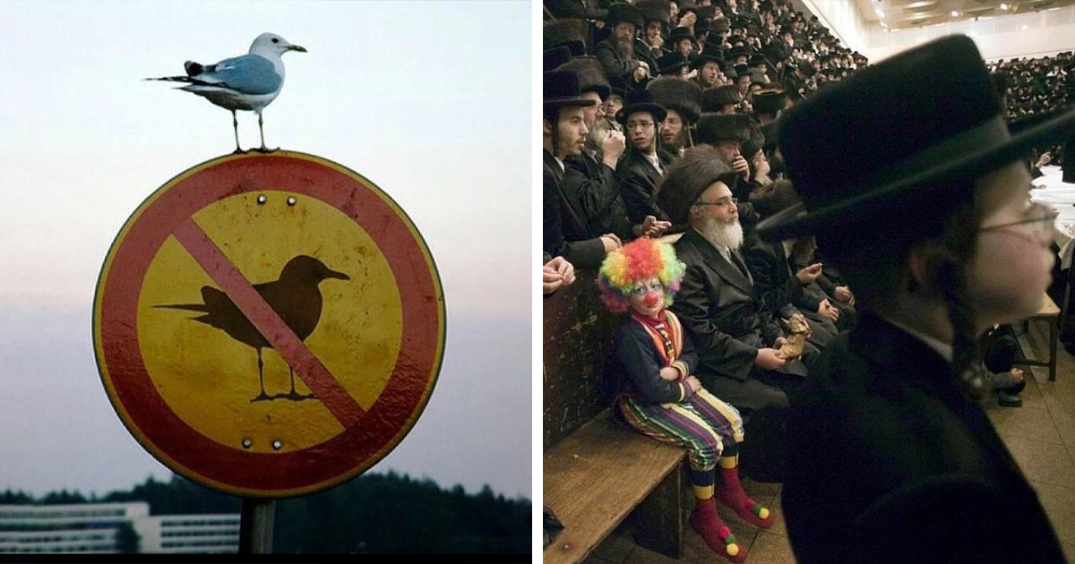 30 Images That Are So Cool And Unusual They Could…
