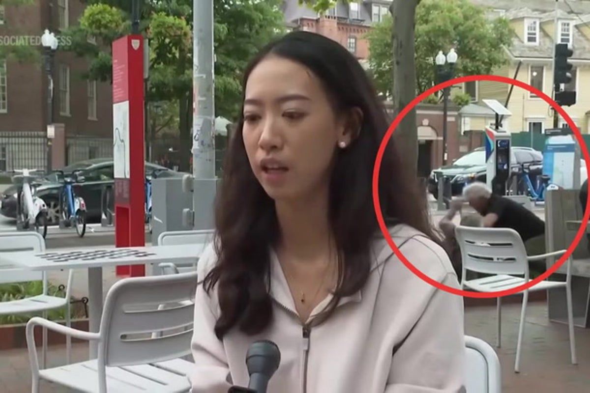 Fight breaks out behind Harvard student as she issues…