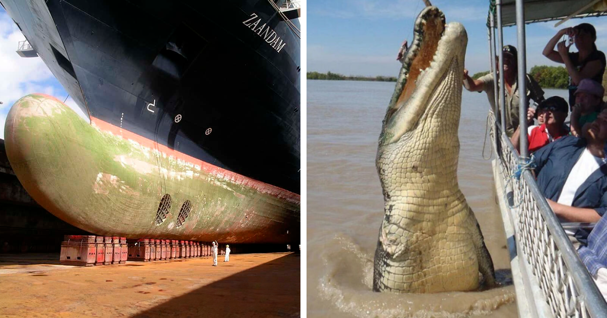 “Nope, I’m Outta Here”: 46 Terrifyingly Big Things…