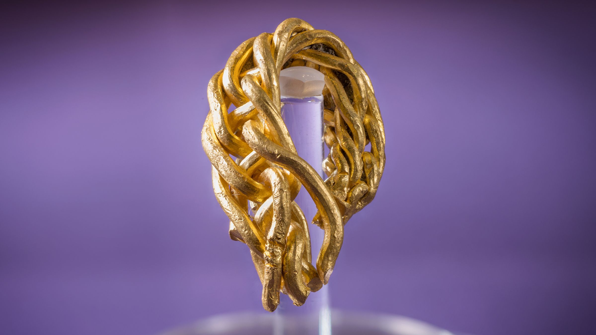 Braided gold Viking arm-ring discovered by amateur…