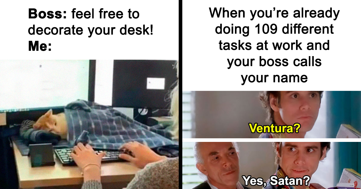 41 Tearfully Funny Memes And Posts About Work And…