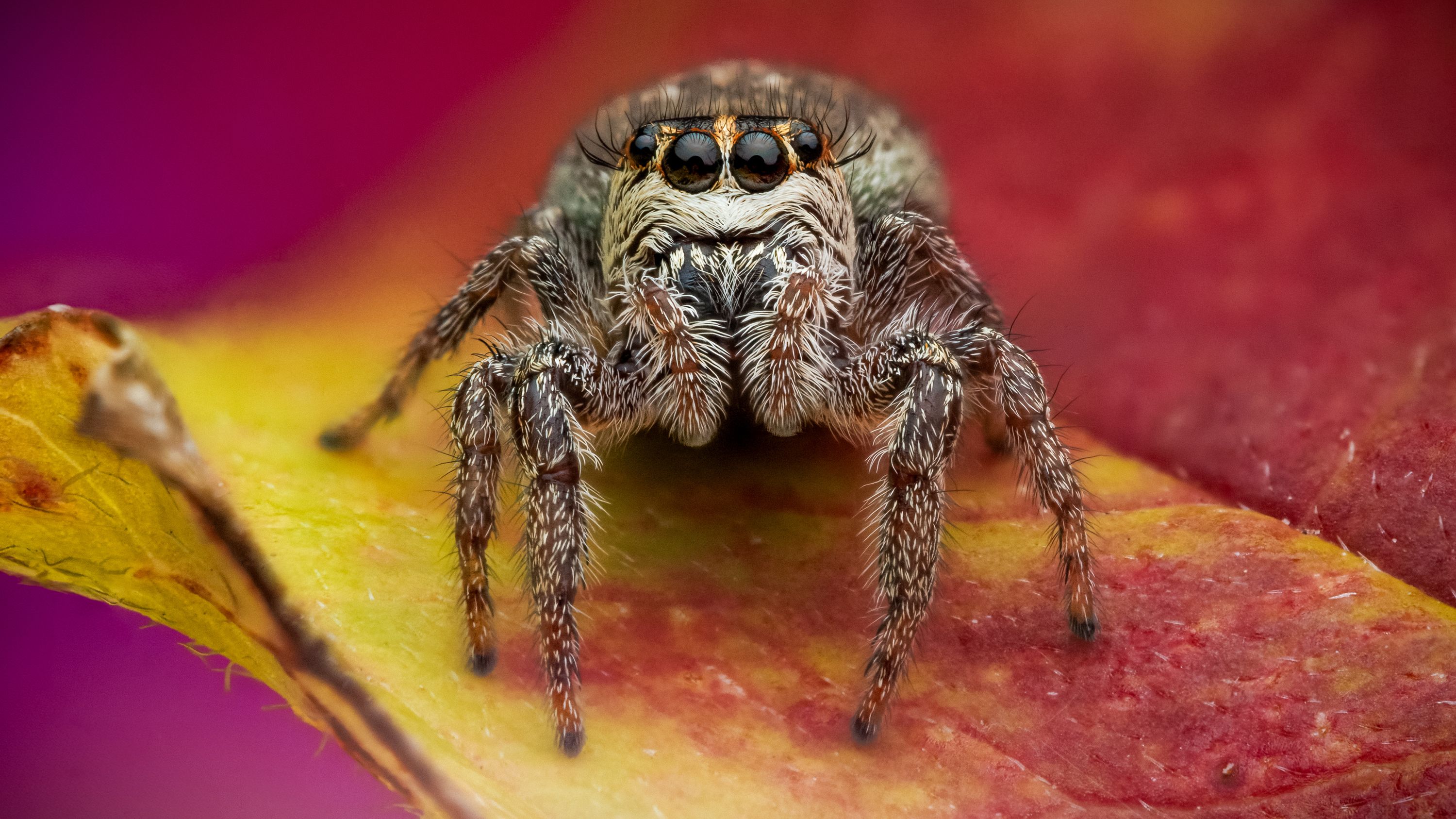 The Latest Breaking News from All About Photo – inkl news