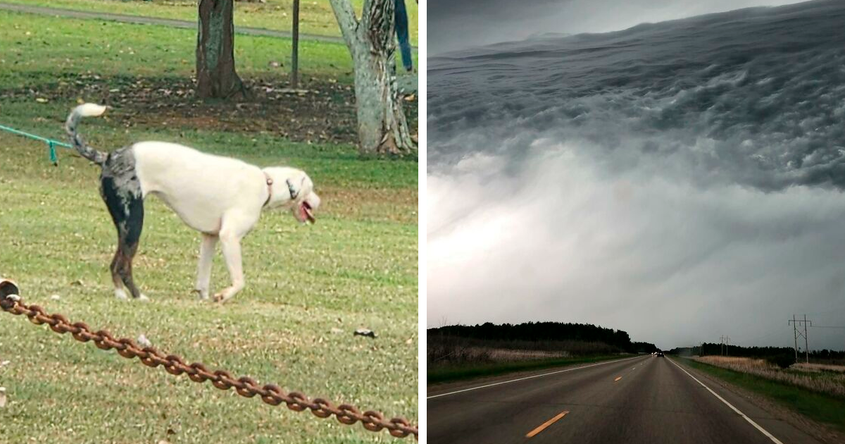 88 Interesting Things That Required A Double Take To…