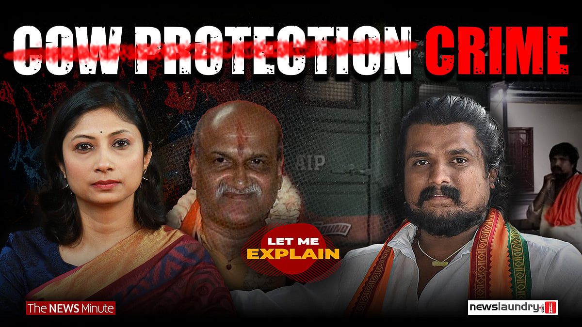 Let Me Explain: Rise of cow vigilantes in Karnataka