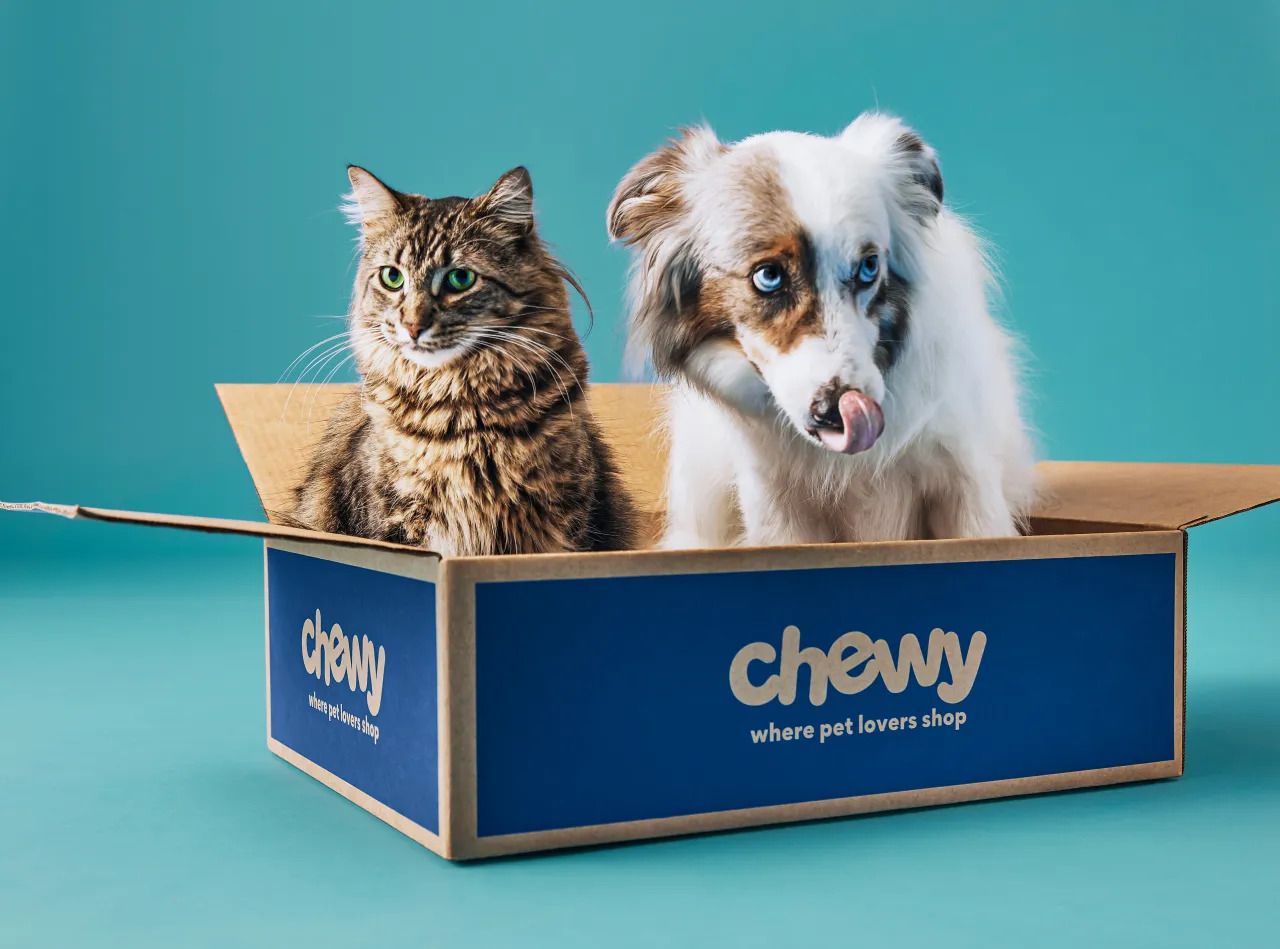 Chewy promo codes for June 2025