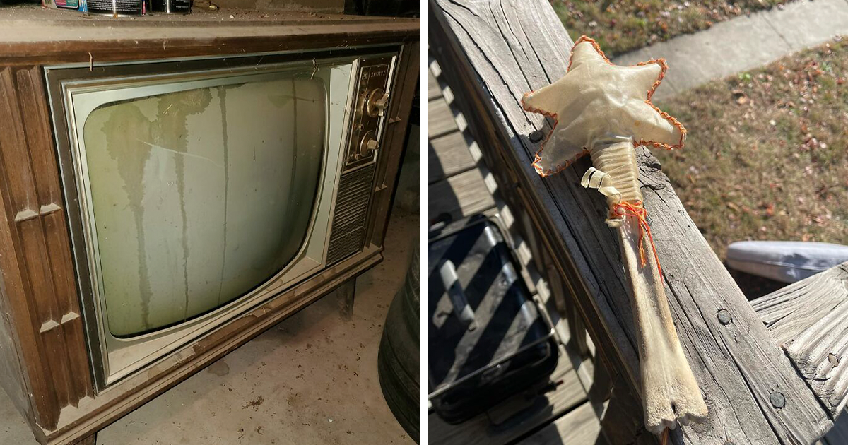 50 Times People Discovered Surprising Things Left…