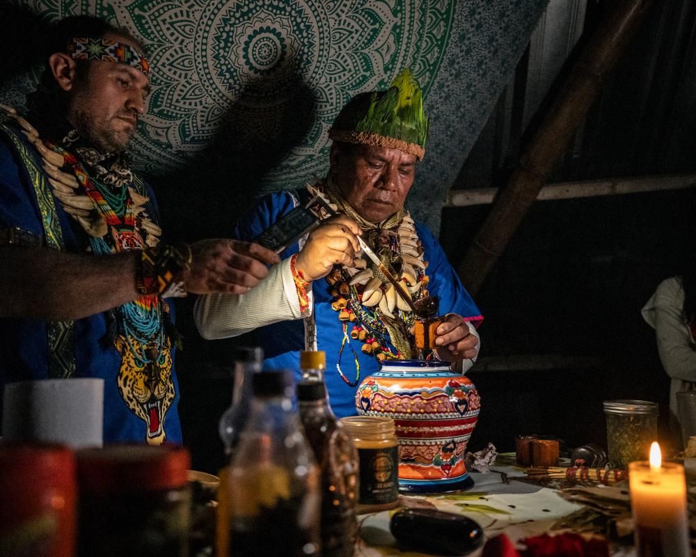 Amazon Indigenous peoples can benefit from ‘ayahuasca…