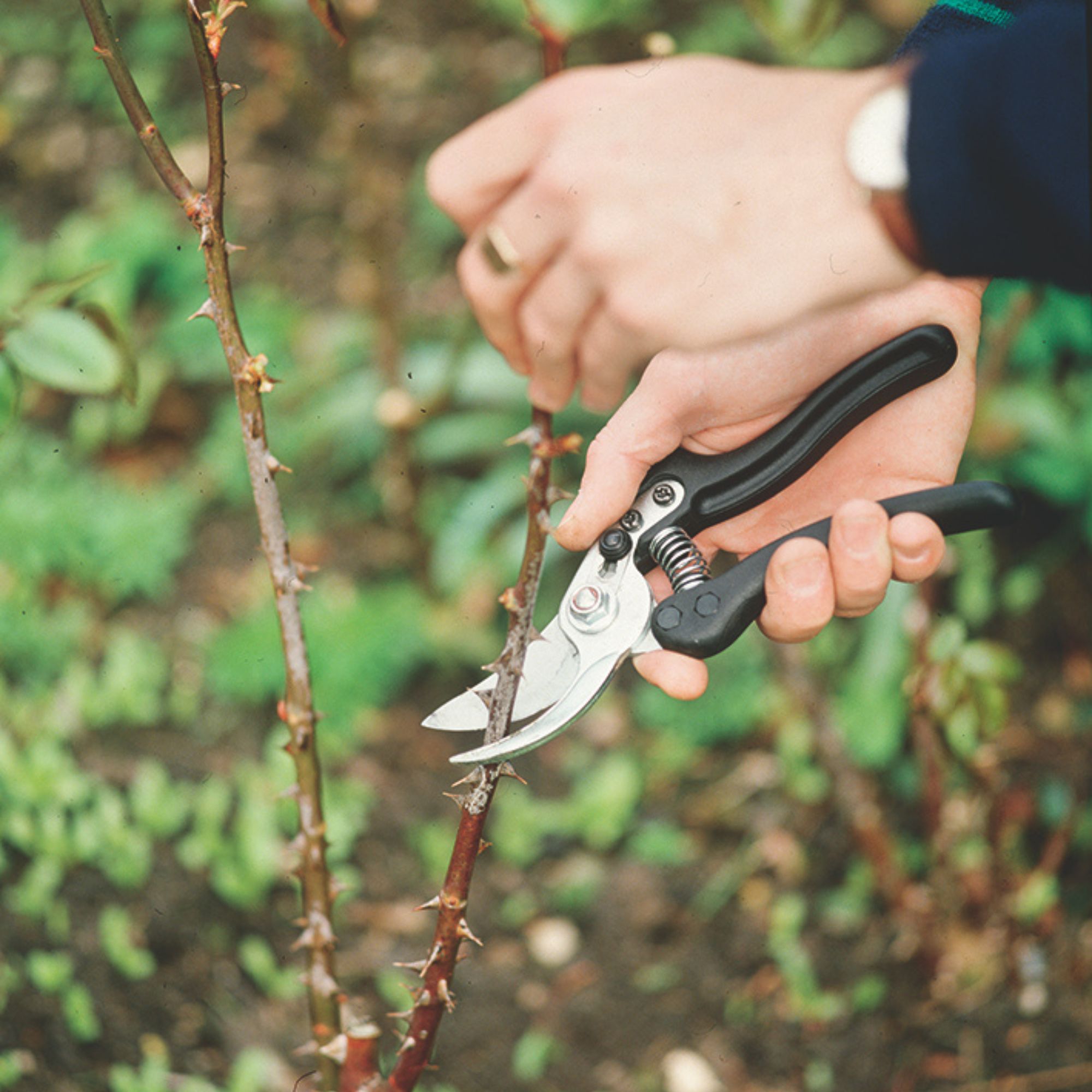 This is the difference between pruning shears and…