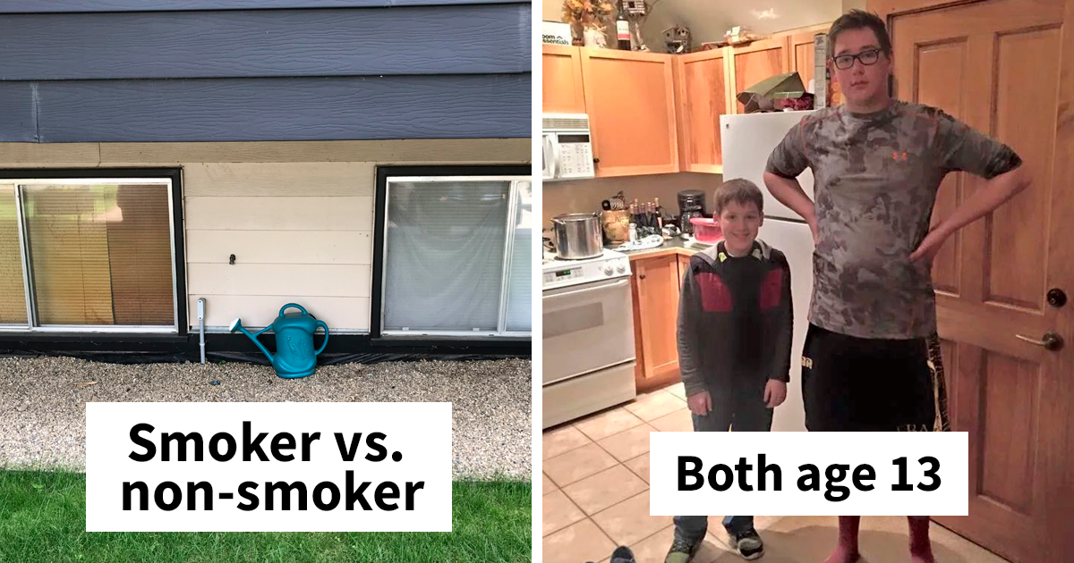 49 Captivating Comparison Photos That Challenge Your…