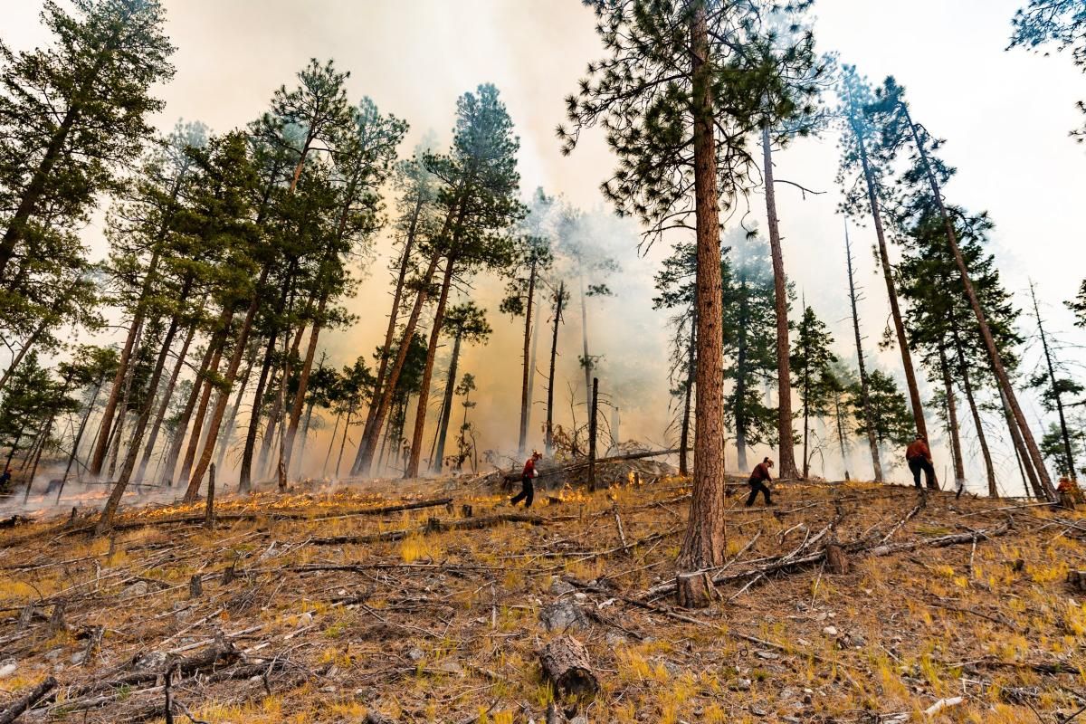 Chase Fire Prompts Evacuation Call: How Big Is the…