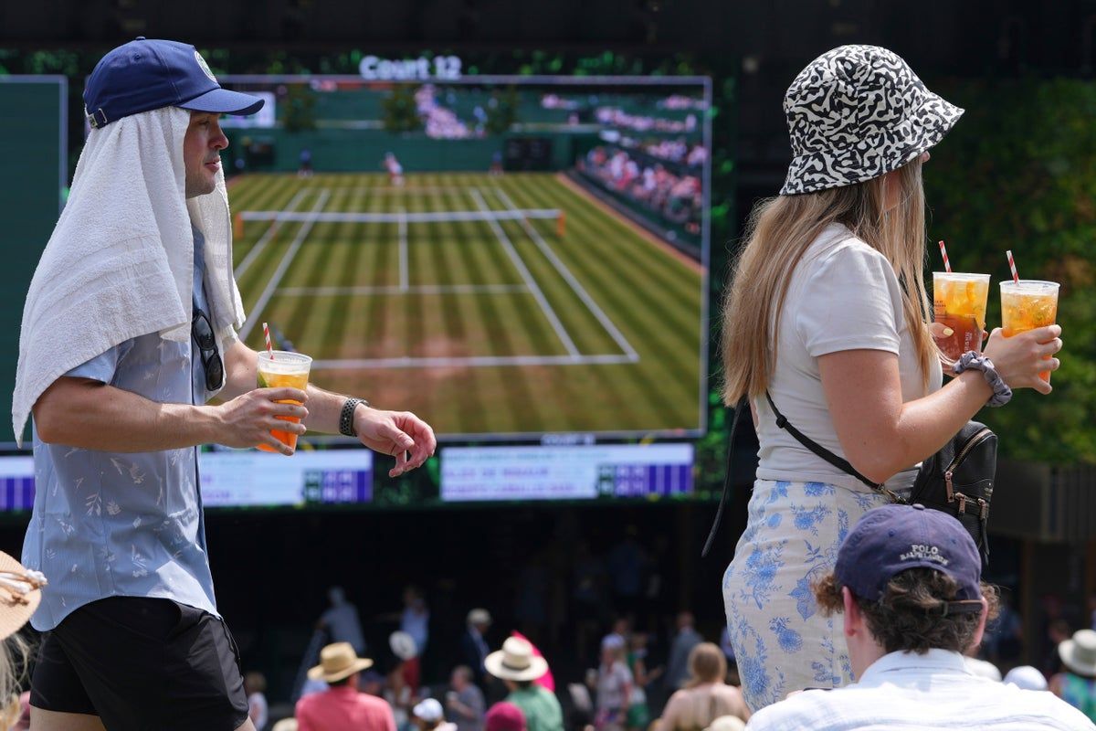 Photos of Wimbledon fans and players struggling to…