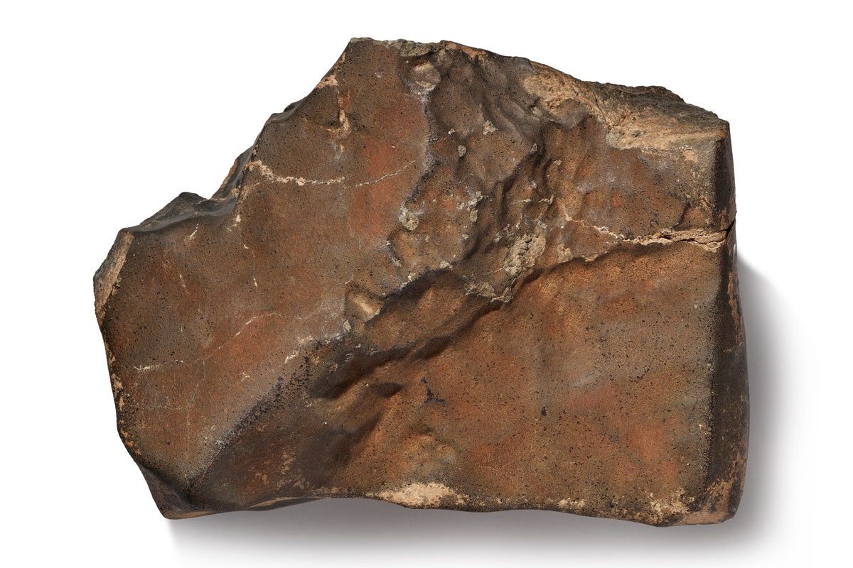 Meteorite from Mars could be yours for $2 million
