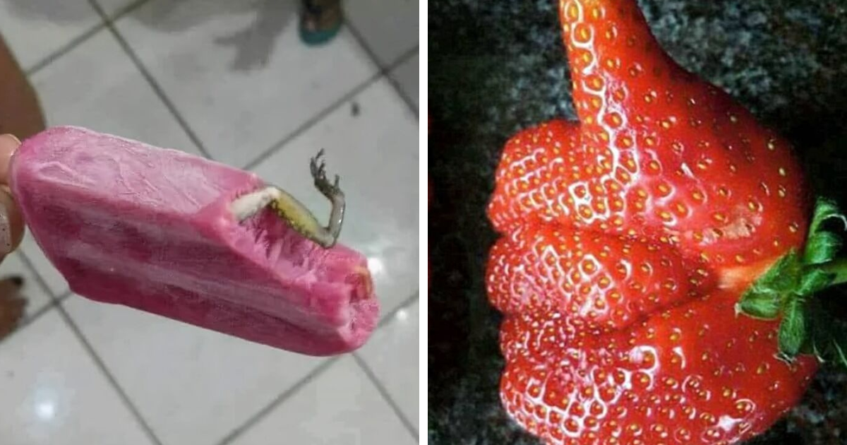 92 Cursed Pictures Of Food That Might Make You Go…
