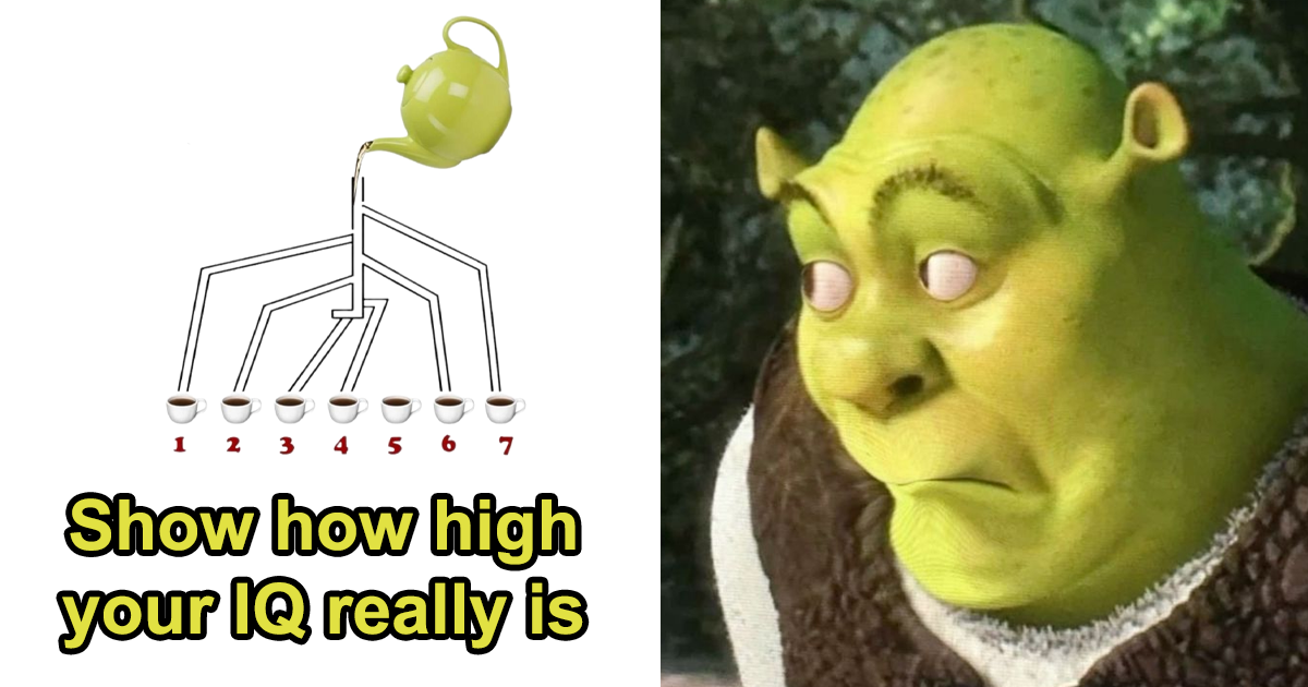 Only People With A High IQ Will Be Able To Solve At…