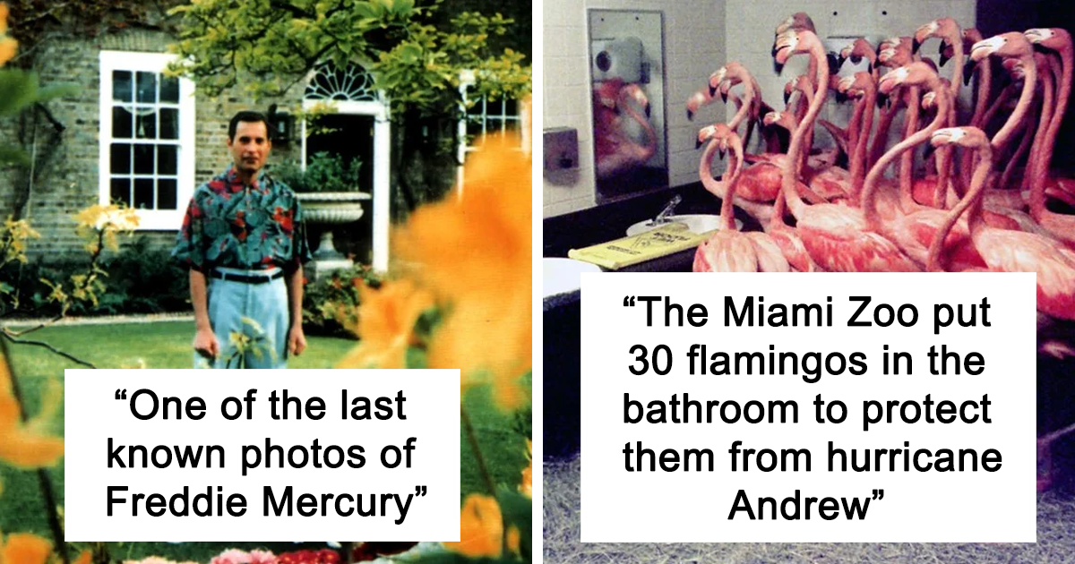 38 Important, Interesting And Random Events That…