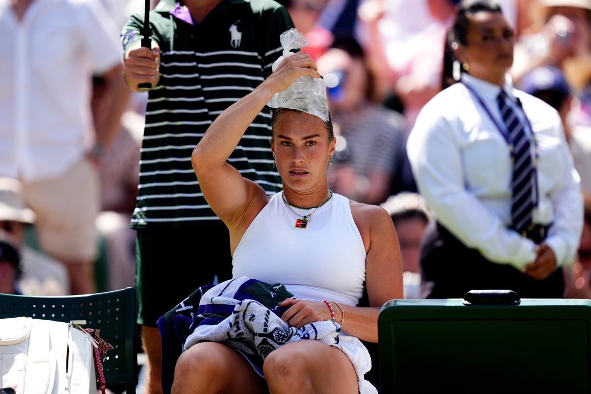 Aryna Sabalenka, fainting fans, and a fall at a…