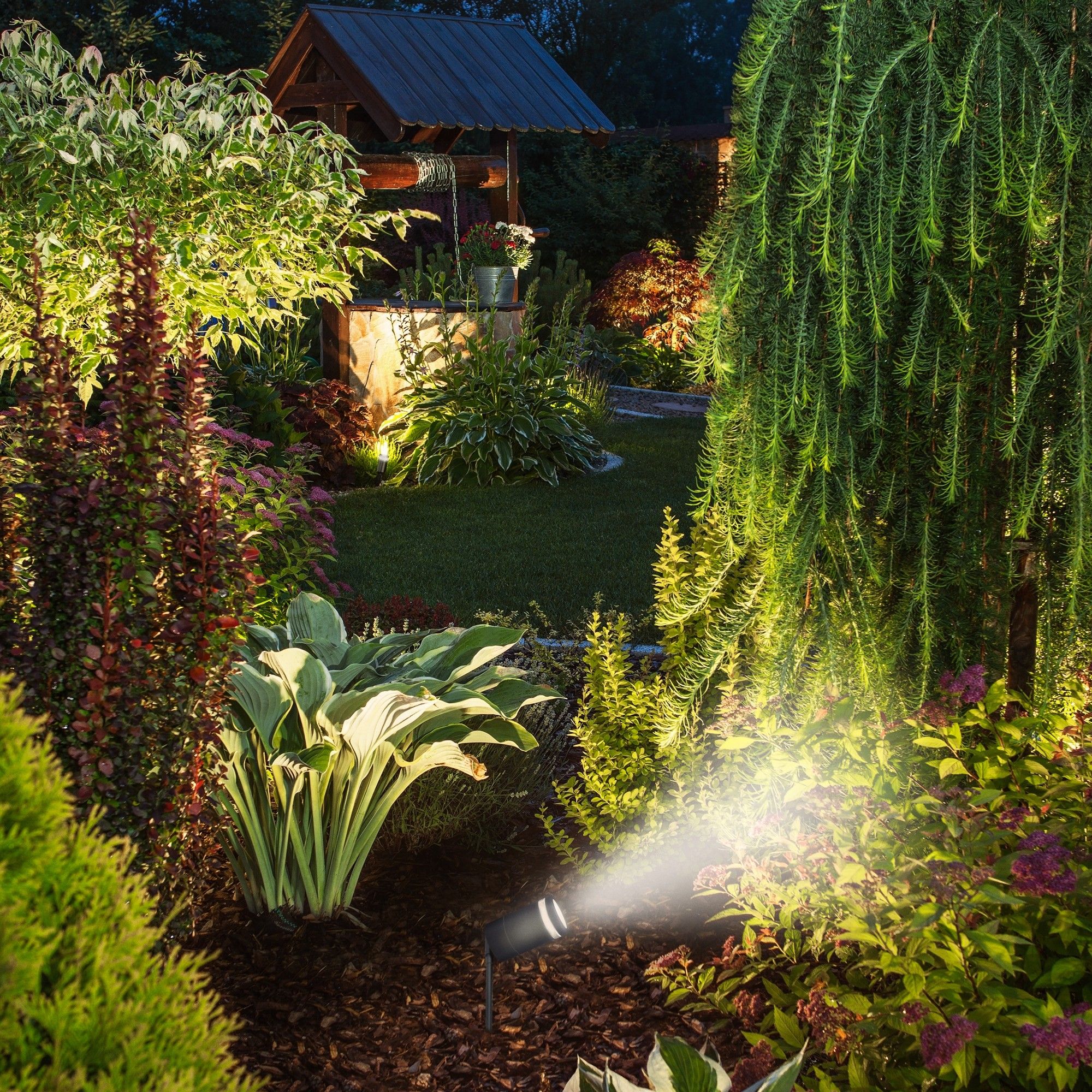 Experts share the best ways to secure your garden from…