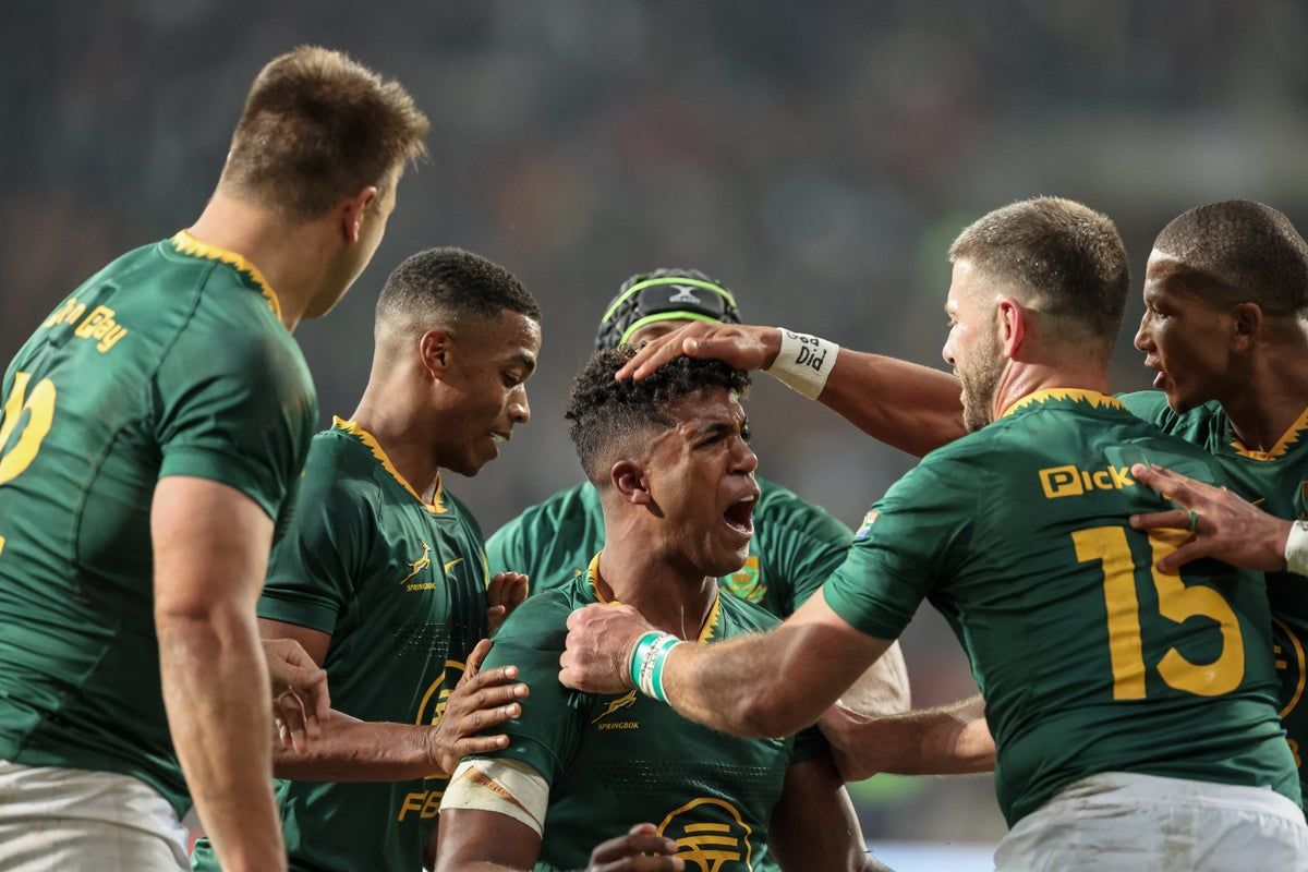 South Africa vs Italy live: Reaction as Springboks…