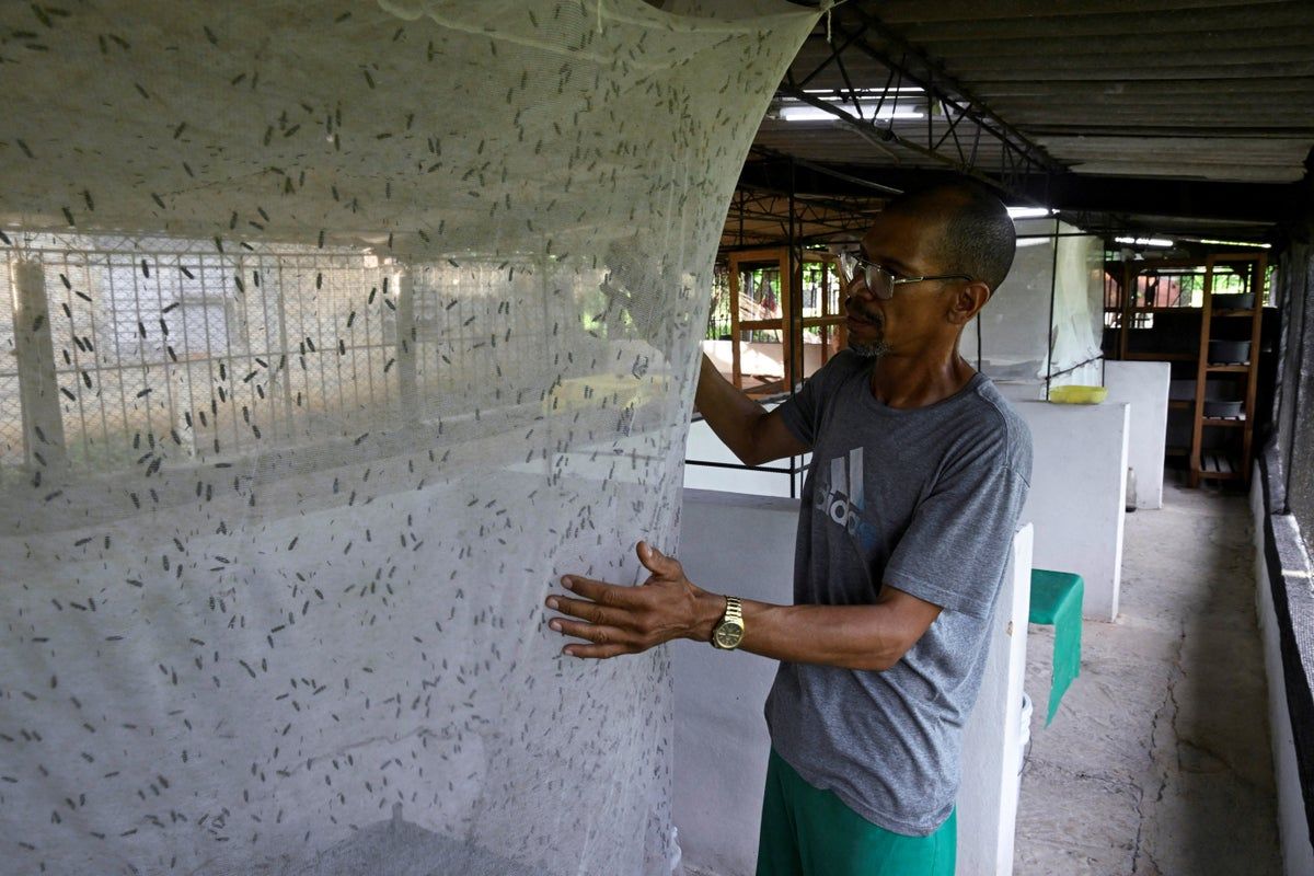 The money-spinning doctor who swapped medicine to…