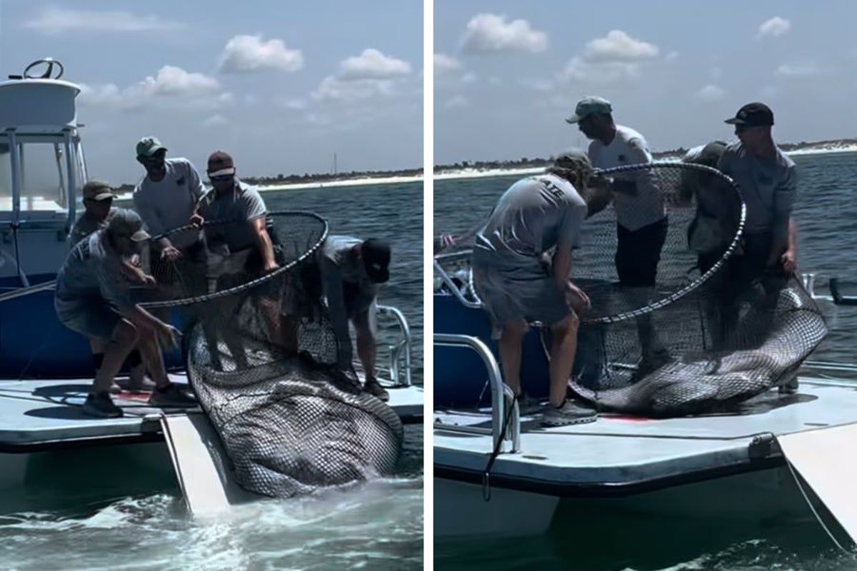 Outrage after video shows Florida fishing group…