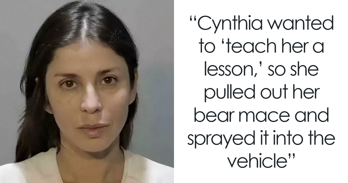 “Teach Her A Lesson”: Florida Woman Attacks Driver Who…