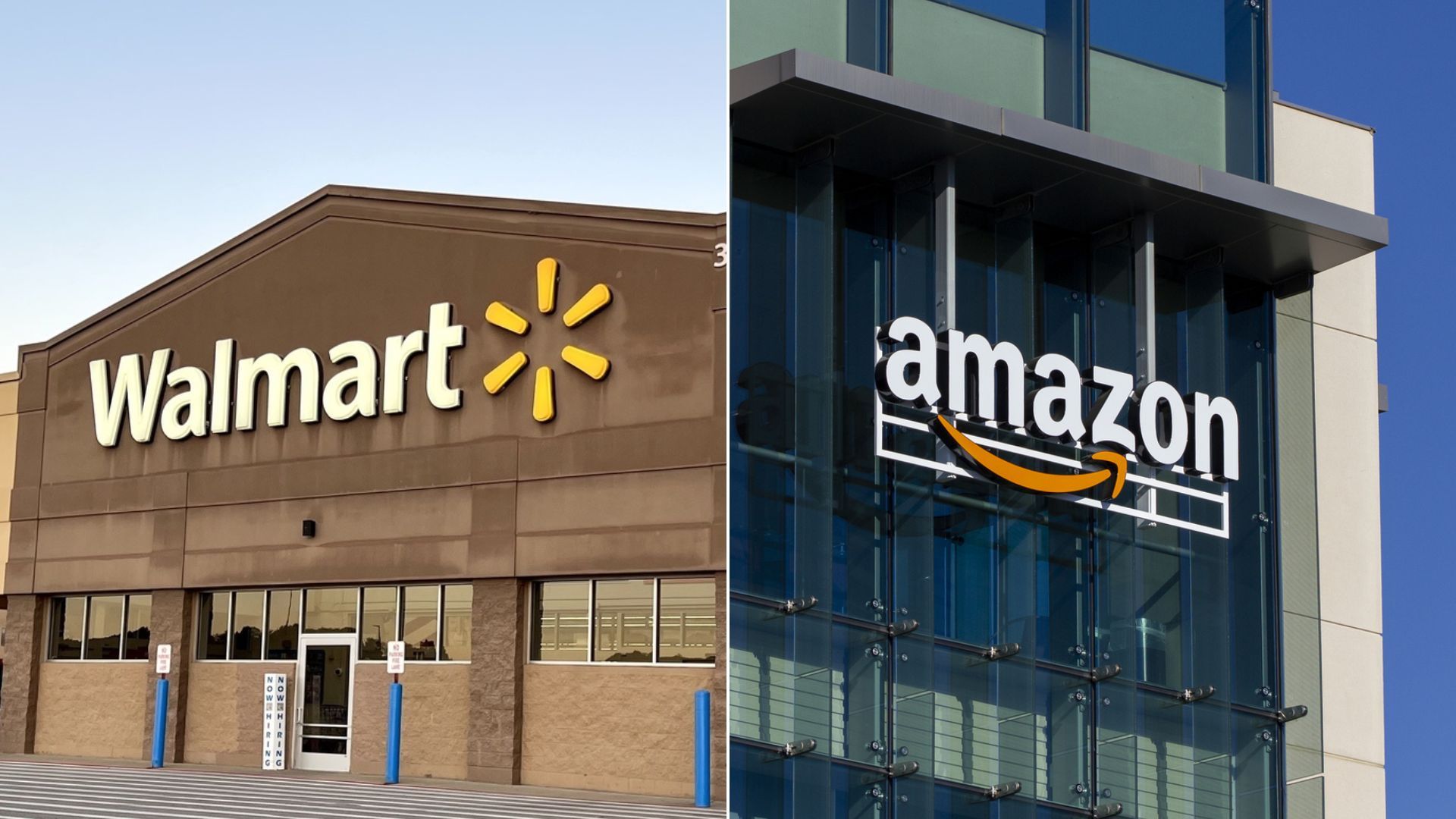 2 Real Reasons Amazon and Walmart Could Replace Your…