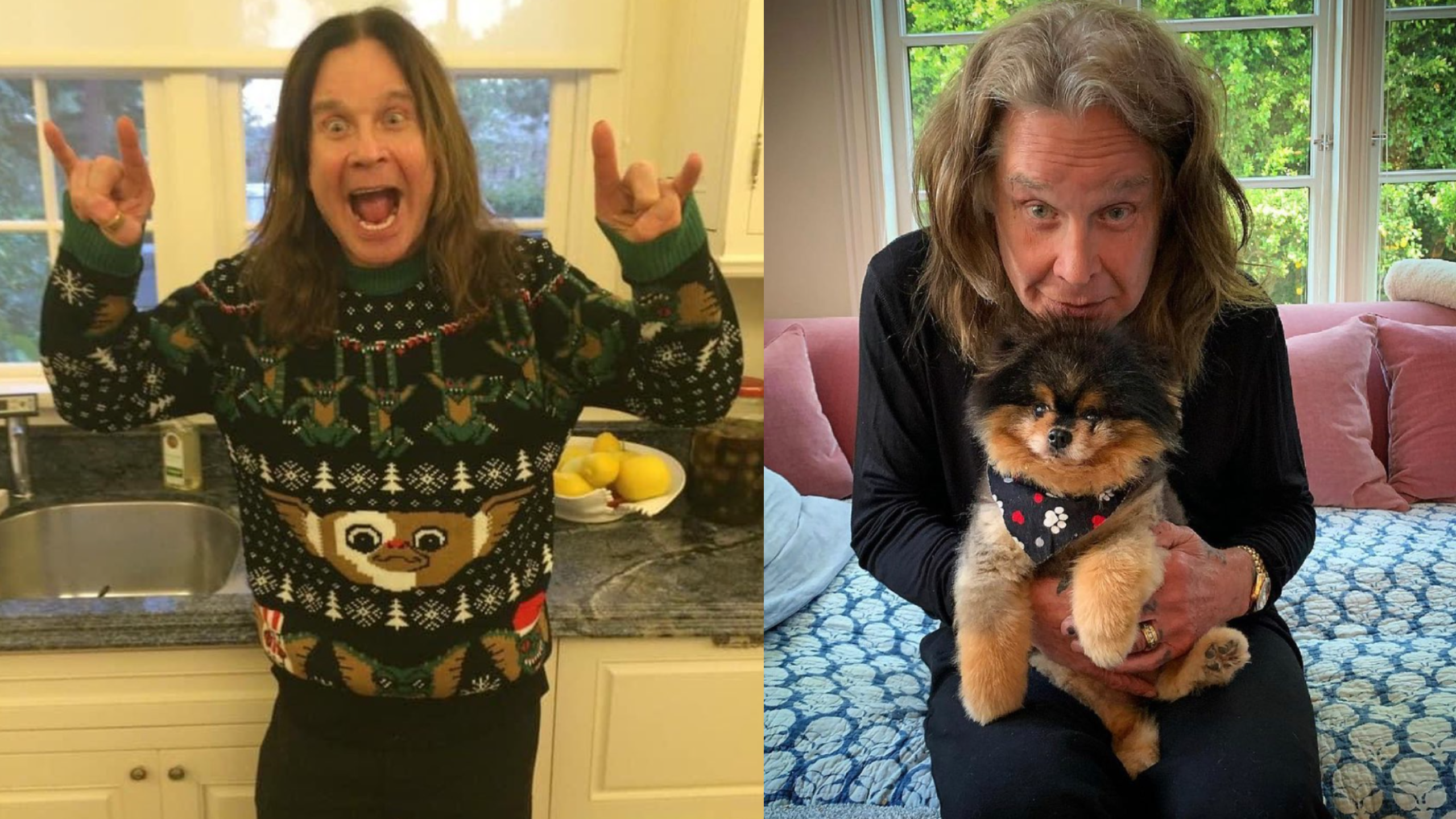 Ozzy Osbourne Revealed the Real Reason He Bit the…