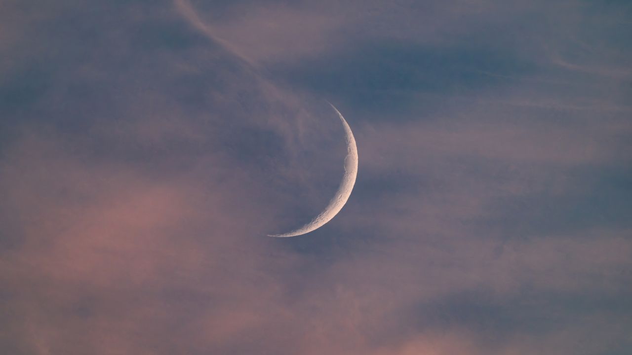 Are you lost anime nude she is an absolute delight - funny,