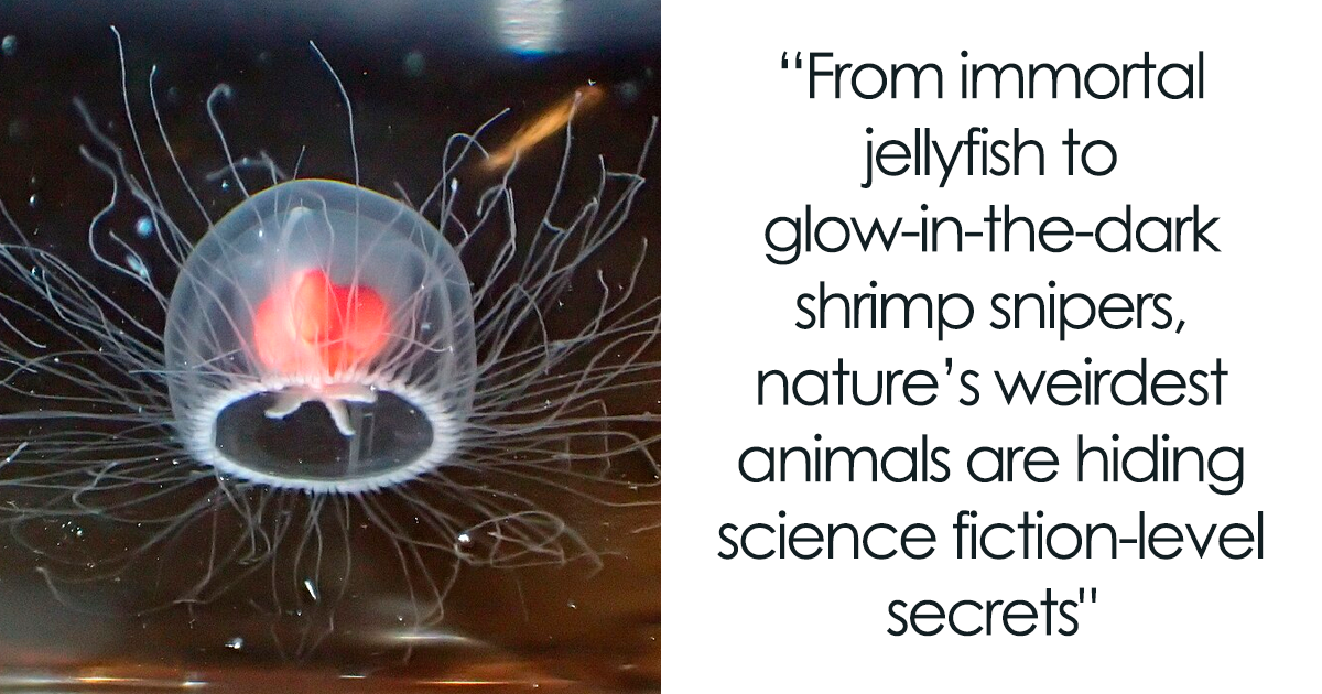 The Science Behind The 30 Craziest Animal Facts