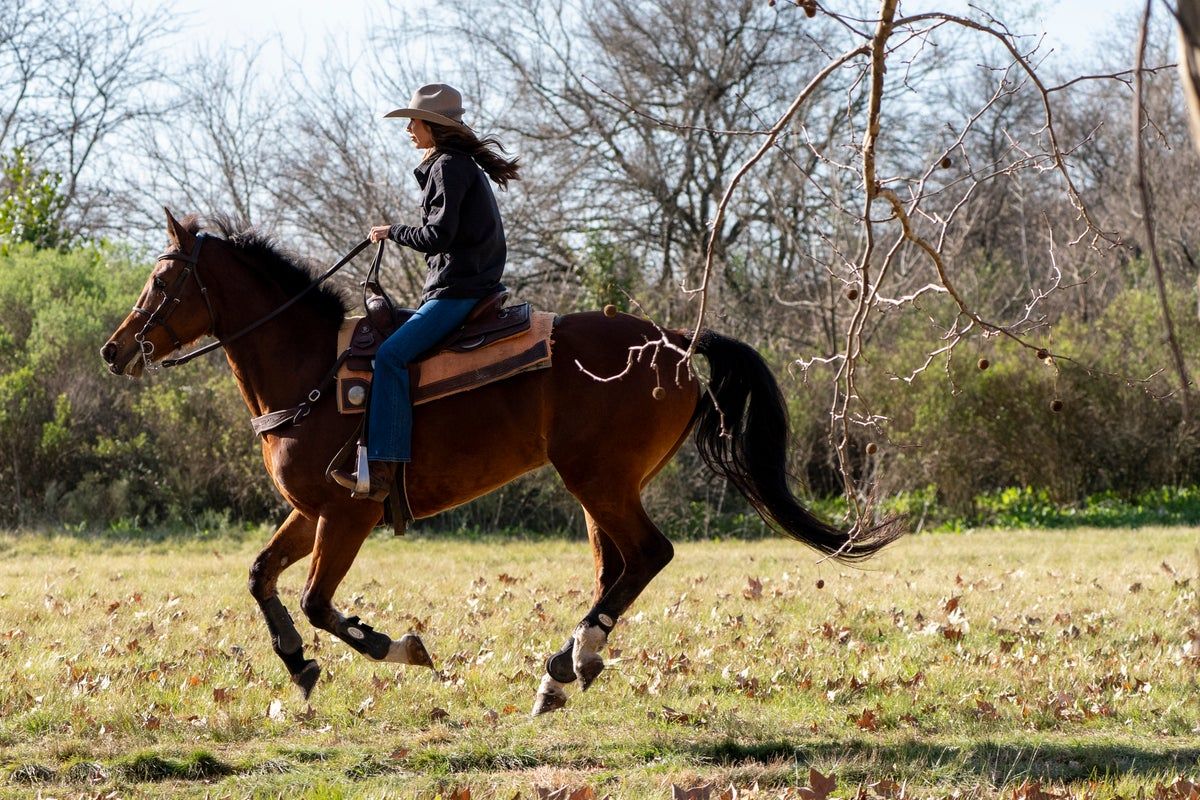 ‘ICE Barbie’ Kristie Noem dons favorite cowboy gear as…