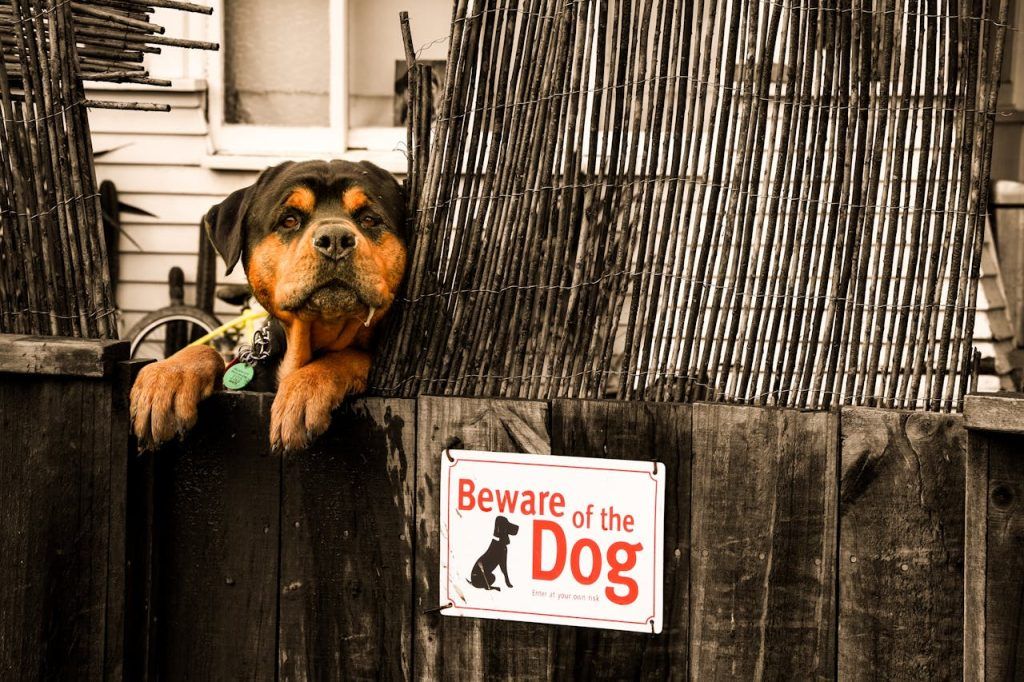What Do Police Say About Those “Beware of Dog” Signs?