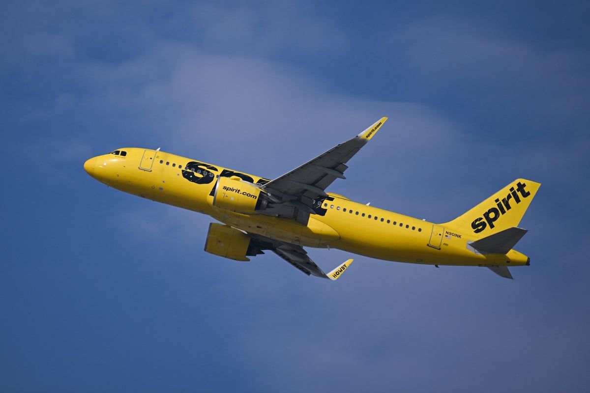 Spirit Airlines pilot ‘removed from duty’ after being…