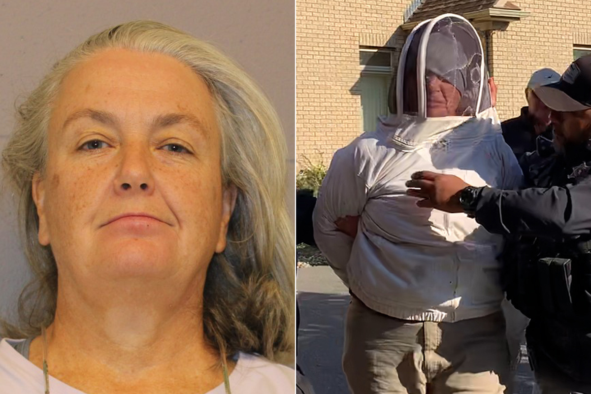 Beekeeper vigilante unleashed dozens of her creatures…