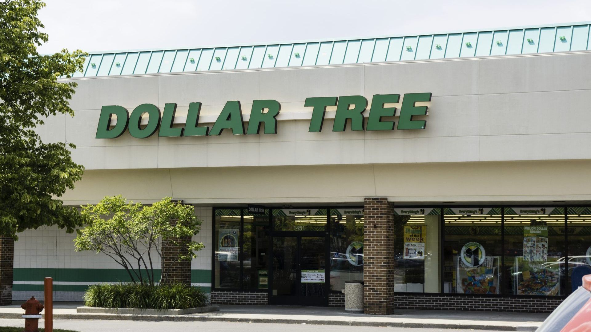 12 Amazing Items To Get From Dollar Tree Now Before…