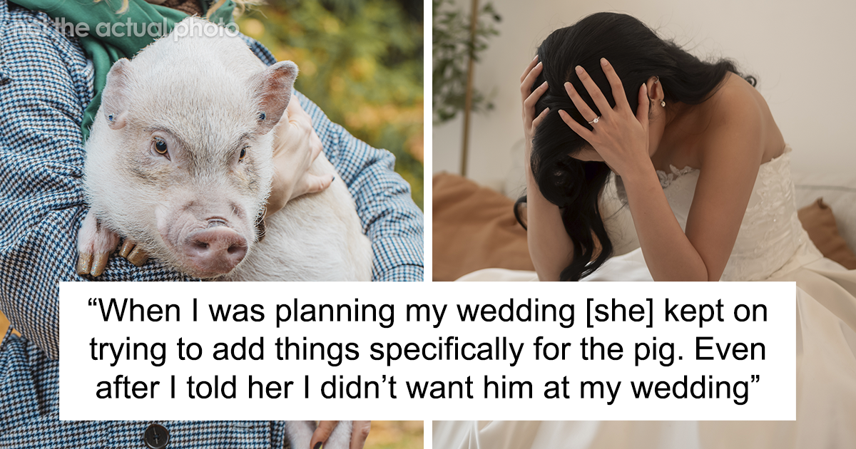 Mom Of The Bride Told She Can’t Bring Her Pet Pig To…