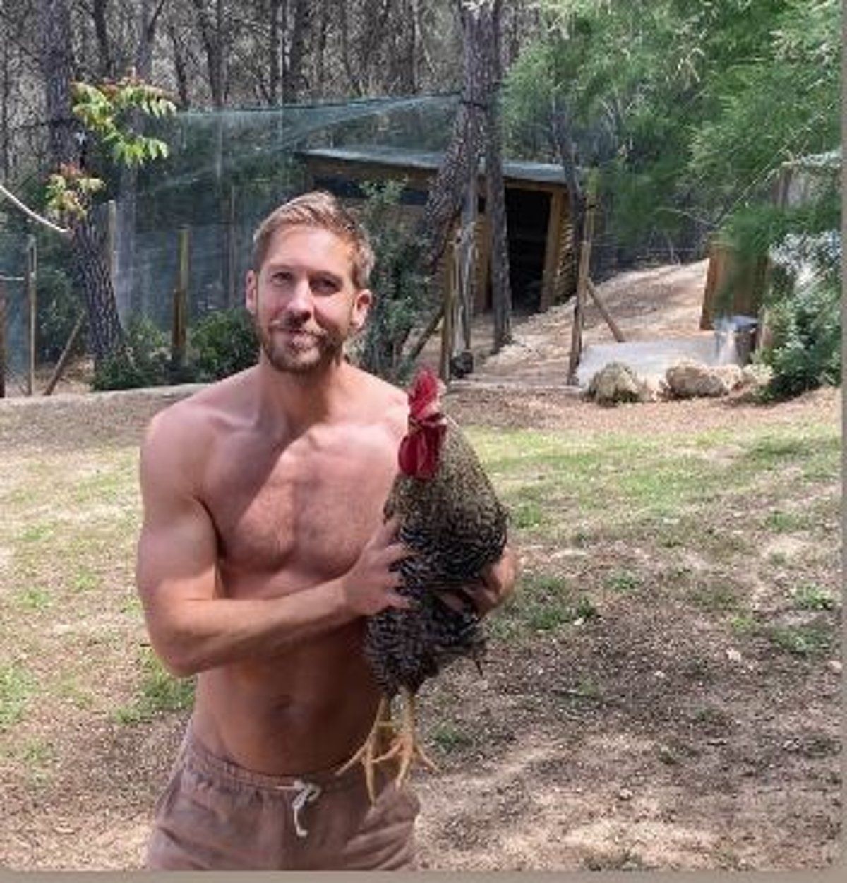 Calvin Harris says his chicken was murdered by…