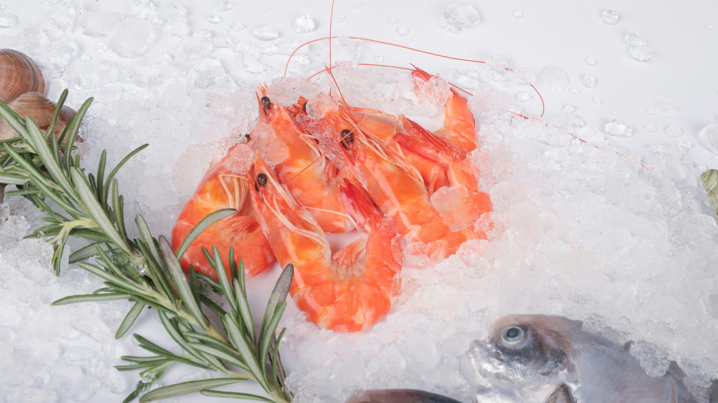 Can Radioactive Shrimp Kill You? Walmart Seafood Poses…