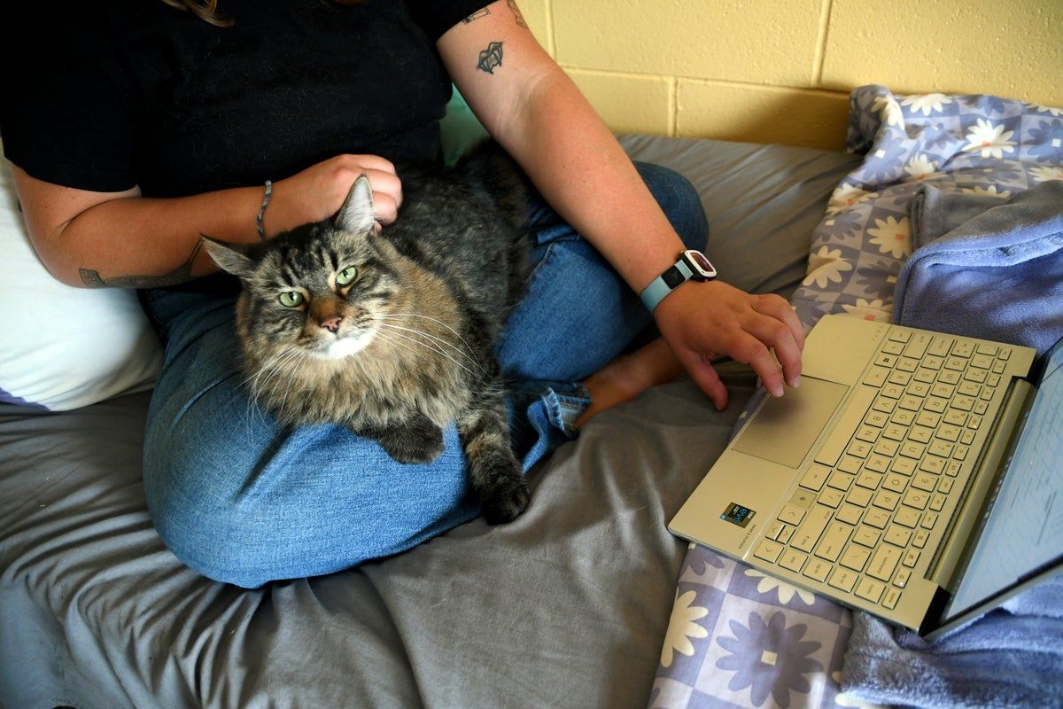 Photos of pets in dorms: Colleges are welcoming…