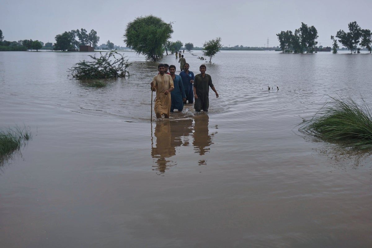 ‘Biggest flood in Punjab’s history’ affects over 2…