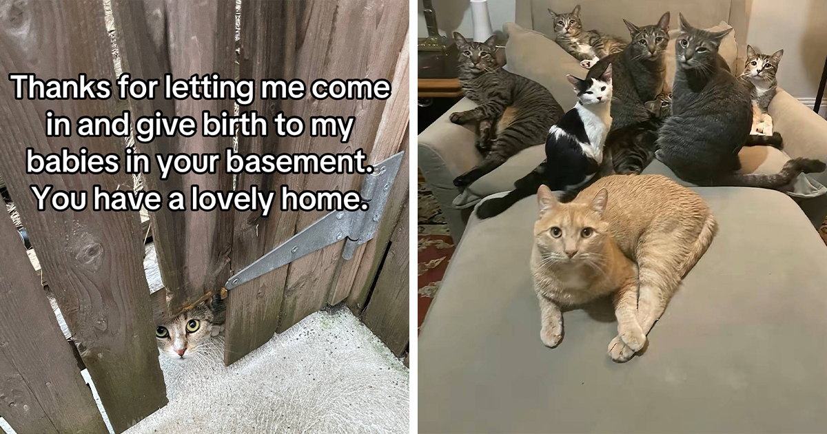 “Have A Great Life!”: 77 Of The Best Adoption Pics Ever