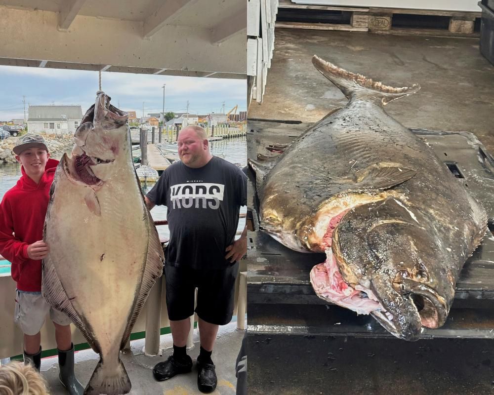 New Hampshire teen catches giant halibut outweighing…