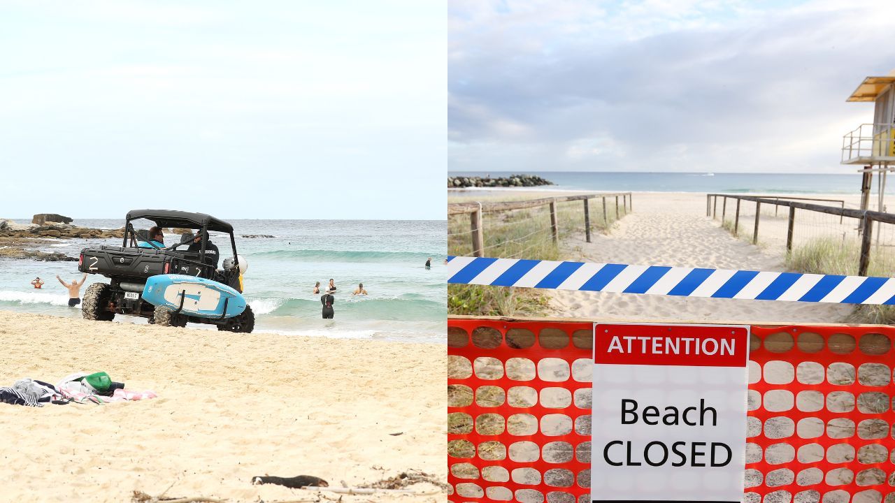 A Man Has Died During A Shark Attack At Dee Why In…
